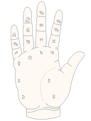 Free Palm Reading Scanner | Read Life, Heart & Love Line | Ceerly