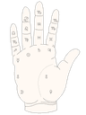 Free Palm Reading Scanner | Read Life, Heart & Love Line | Ceerly